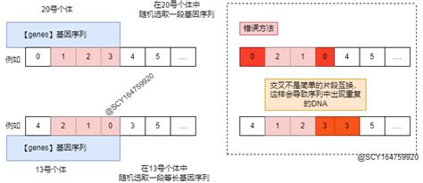 人工智能 遗传算法解决tsp旅行商问题 Python实现遗传算法解决tsp问题python Csdn博客