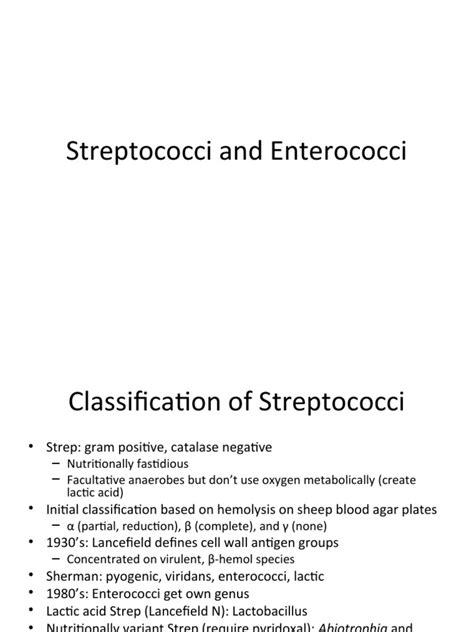 Strep And Enterococci Pdf Streptococcus Medical Specialties