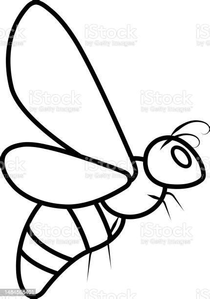 꿀벌 만화 곤충 날아다니는 말벌 꿀벌 측면도 낙서 및 스케치의 벡터 그림 곤충에 대한 스톡 벡터 아트 및 기타 이미지 곤충 귀여운 금색 Istock
