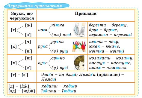 Чергування приголосних звуків Урок на 5 завдань Українська мова