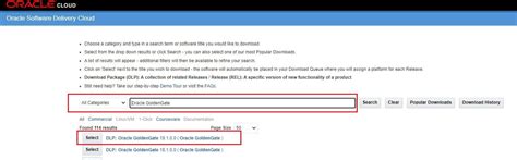 Oracle Database 19c Installation On Rhel 8 Printable Forms Free Online