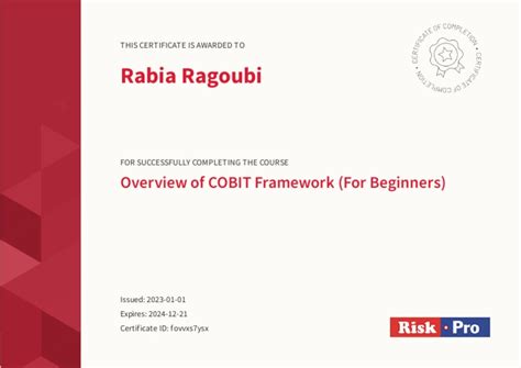 Overview Of Cobit Framework Pdf