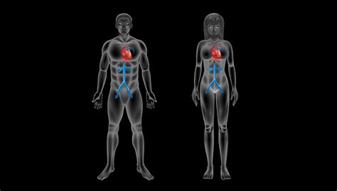 Aortic Aneurysm Symptoms Signs And Treatment Mycardiologist