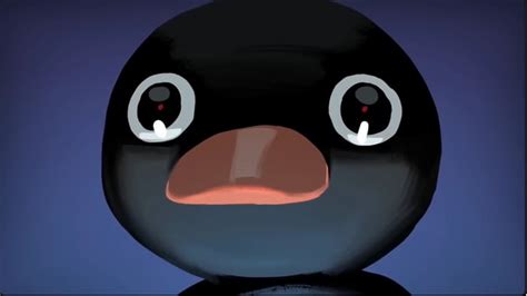 Terrified Noot Noot We Miss You 9gag