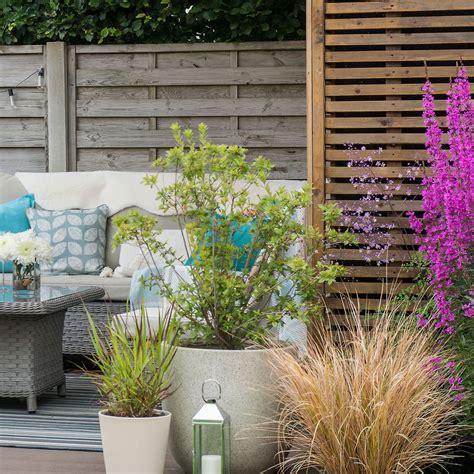 Best Ornamental Grasses For Containers 10 Great Ornamental Grasses To