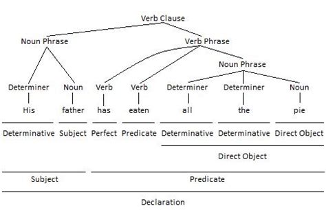 Using Nouns And Noun Phrases As Direct Objects Linguistics Girl