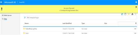 Getting Access Denied To Log Directory To Create Files · Issue 110