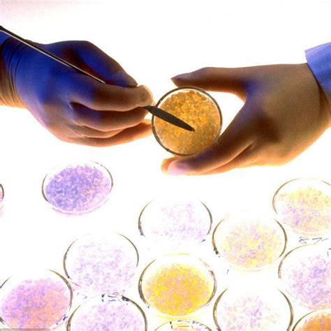 Rich Lab 细菌培养皿培养系列生物耗材耗材器具puiea多彩实验室 专心·专注·专业