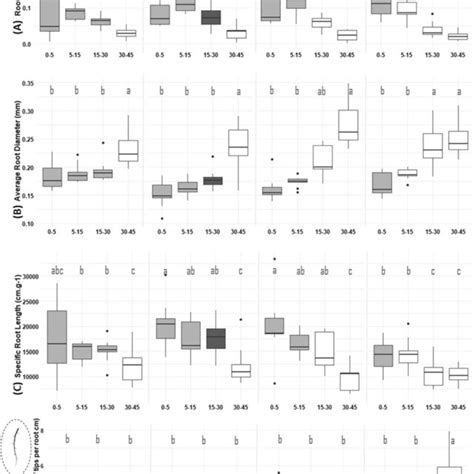 A Root Biomass B Average Root Diameter C Specific Root Length And D
