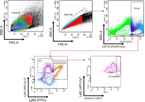 Cell Press Star Protocols