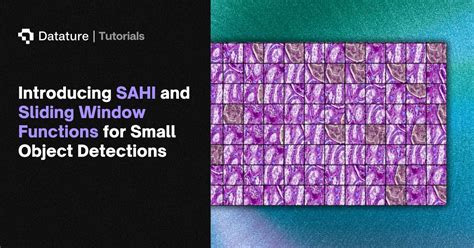 introducing sahi and sliding window functions for small object detections