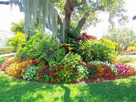 30 Under Oak Trees Ideas To Save Today Plants Shade Garden Garden