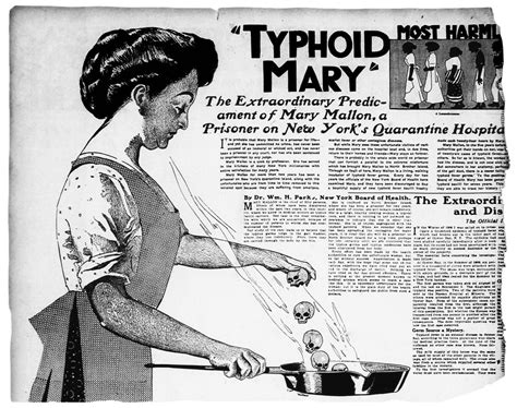 Repercussion Section A Brief History Of Typhoid Fever — The Science