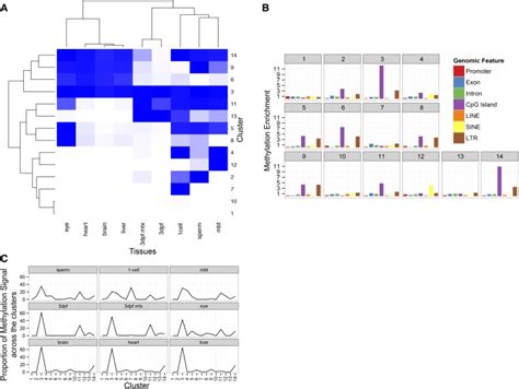 Unsupervised Clustering Of Methylation Signal Reveals Relationships
