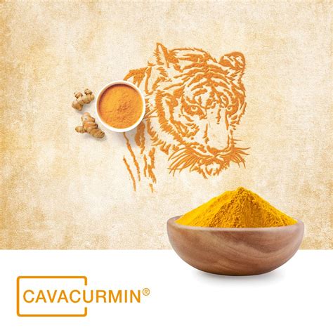 Bulk Cavacurmin® Highly Bioavailable Curcumin Ingredients Online