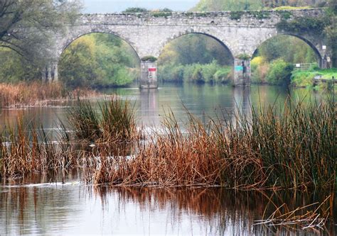 Borris Things To Do And Tourist Attractions