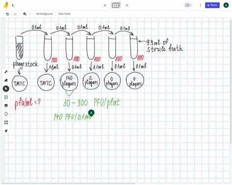 Solved Diagram How You Would Do The Following Dilution Or Calculation Calculate A Pfu Ml Of A