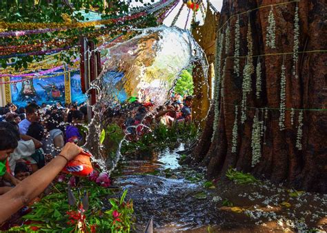 မကွေးမြသလွန်ဘုရားပွဲတော်၌ ကဆုန်ညောင်ရေးသွန်းပွဲအပါအဝင် သံဃာတော်အပါး ၁ဝဝဝ ကျော်အား ဆွမ်းဆန်စိမ