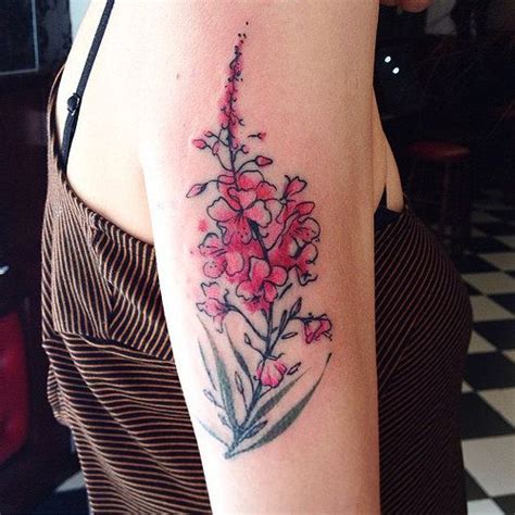 Fireweed Tattoo On Katies Shoulder Pink Thistle Flower Tattoo