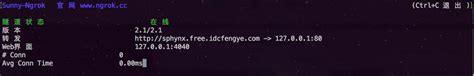 内网穿透：sunny Ngrok 在 Mac、linux、树莓派使用教程 个人文章 Segmentfault 思否