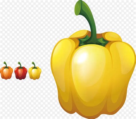 卡通精美青椒蔬菜png图片素材下载图片编号10895524 Png素材网