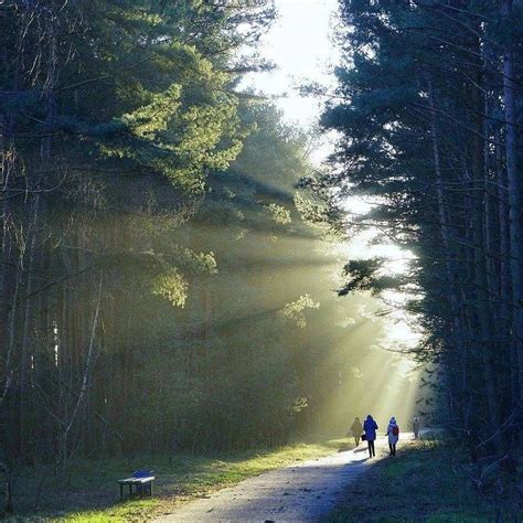 新养生人的9款中药奶茶～好喝又健康牛奶陈皮茯苓