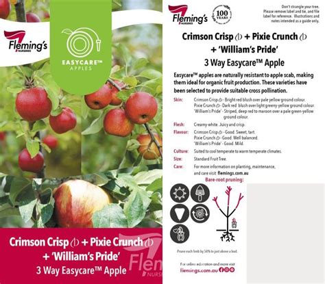 3 Way Apple ‘ Crimson Crisp Pixie Crunch William Pride ‘ Neth Plant