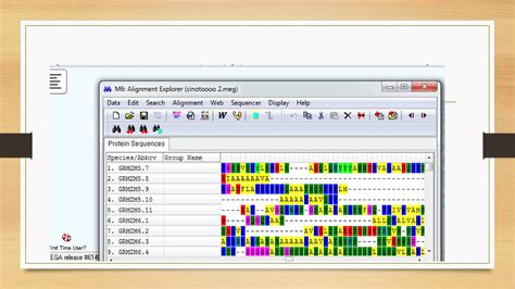 Mega Molecular Evolutionary Genetics Analysis Pdf