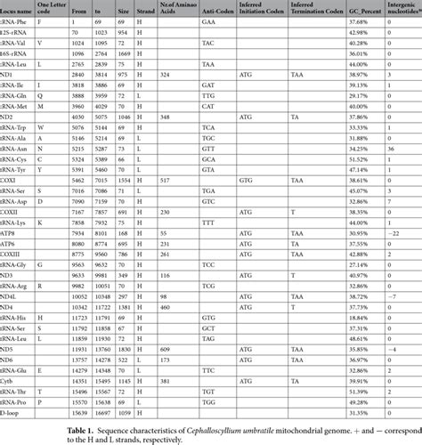 Relative Synonymous Codon Usage Rscu Analysis Of Pcgs In C Umbratile Download Table