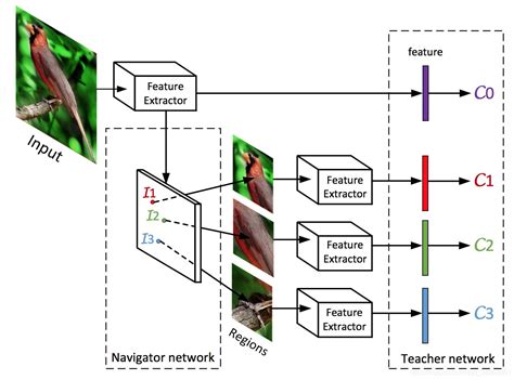 Learning To Navigate For Fine Grained Classification 论文阅读详解 Csdn博客