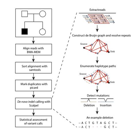 Main Steps In The Scalpel Protocol Starting From Raw Sequencing Data