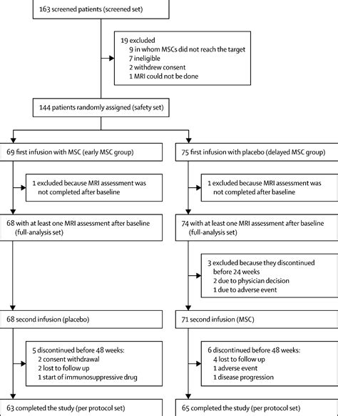 Mesenchymal Stem Cells