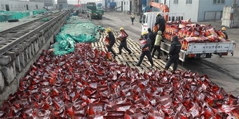 Сайжруулсан түлш авах Сайн карт ыг иргэдэд маргаашнаас олгоно