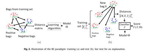 Multiple Instance Classification Review Taxonomy And Comparative Study