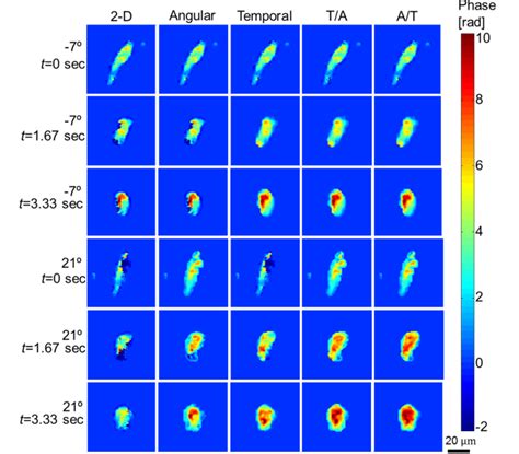 Phase Reconstruction Using Different Phase Unwrapping Algorithms Download Scientific Diagram