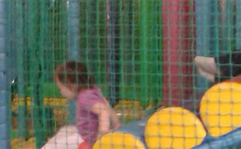 Tiger Cubz 2026 All You Must Know Before You Go W Reviews