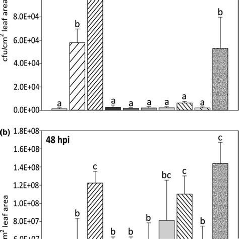 Bacterial Calculation After Infection With Pseudomonas Syringae Dc3000