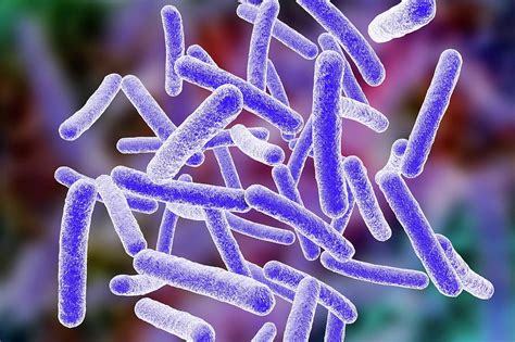 Mycobacterium Chimaera Bacteria 2 Photograph By Science Photo Library Pixels Merch