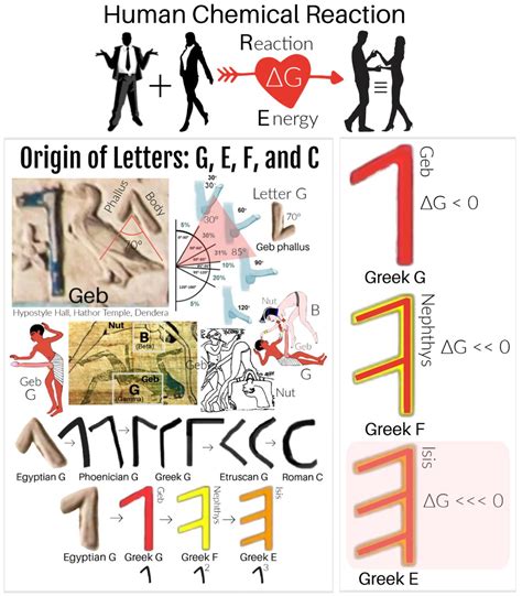 Sexual Reaction Energy Origin The Letter E Ralphanumerics