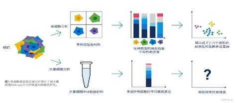 单细胞测序原理 单细胞测序技术原理 Csdn博客