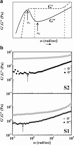 A Schematic Showing Typical Linear Viscoelastic Behaviour Of Colloidal Download Scientific