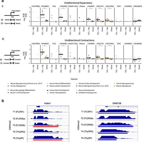 Direction Of Asymmetric Dynamics Correlates With Direction Of Download Scientific Diagram