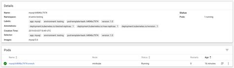 Using A Restful Web Service Spring Boot Application In Minikube Together With An External