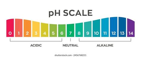 Ph Scales Over 2035 Royalty Free Licensable Stock Illustrations