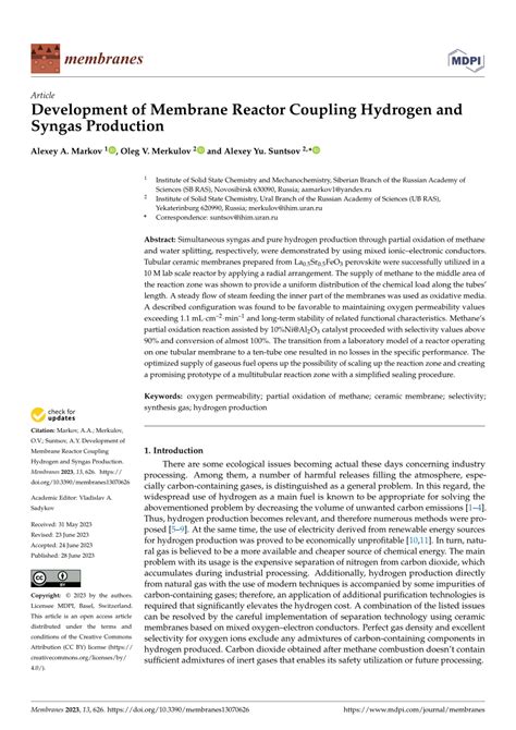 Pdf Development Of Membrane Reactor Coupling Hydrogen And Syngas Production