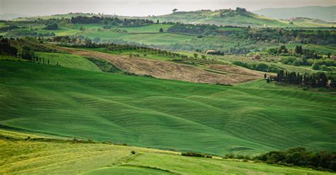 배경에 나무와 구불구불한 언덕이 있는 녹색 들판 사진 Unsplash의 녹색 이미지