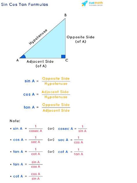Trigonometry Basics Pdf