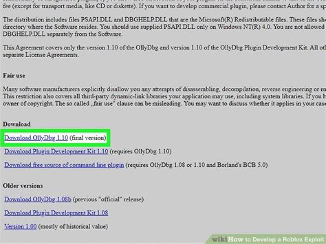 How To Develop A Roblox Exploit 12 Steps With Pictures