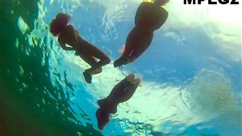 Shark Bait Hd Mpeg2 H2o B Gems Clips4sale