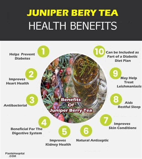 Red Berries Tea Health Benefits At Gwen Mayer Blog